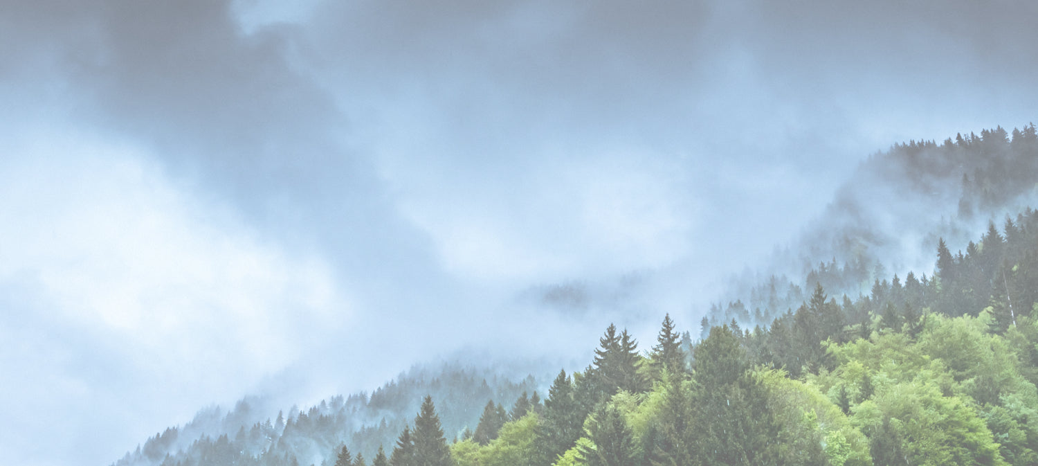 Earth Uniform | The School Uniform Shop