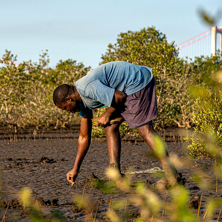 Earth Uniform | The School Uniform Shop