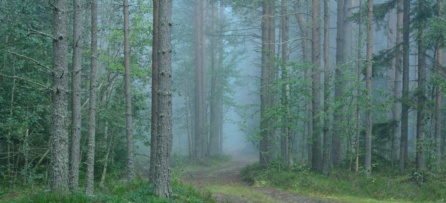 Making a Difference – Earth Uniform